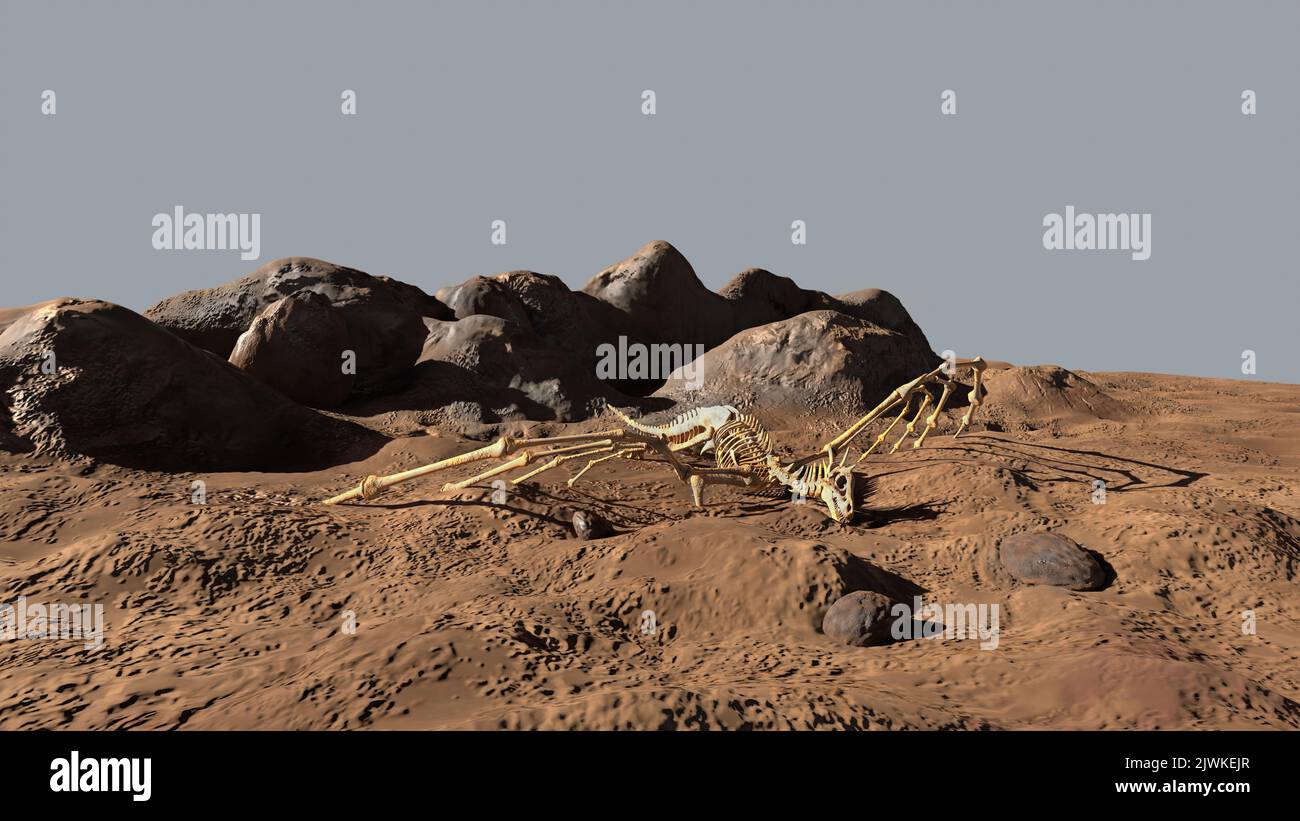 Dragon skeleton lying on arid terrain Stock Photo - Alamy