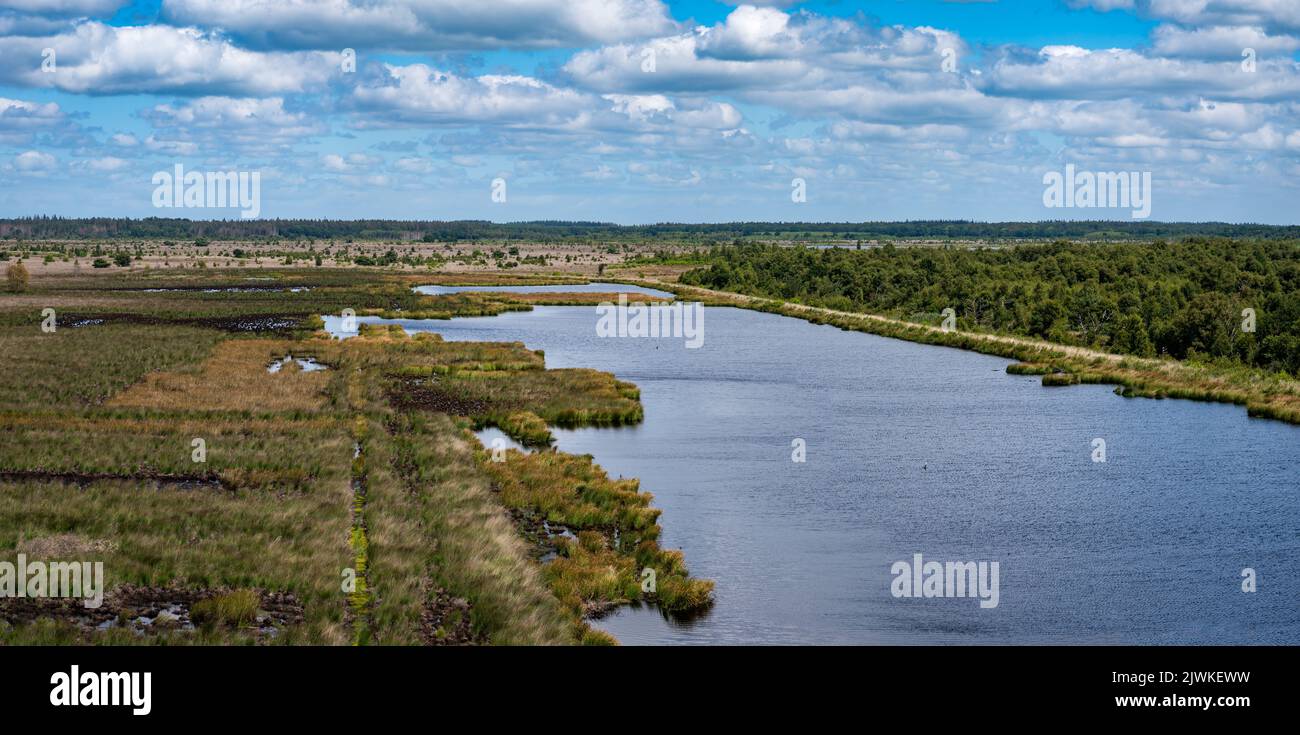 Tower view over the pond and swamp of the fen national park, Fochteloo ...