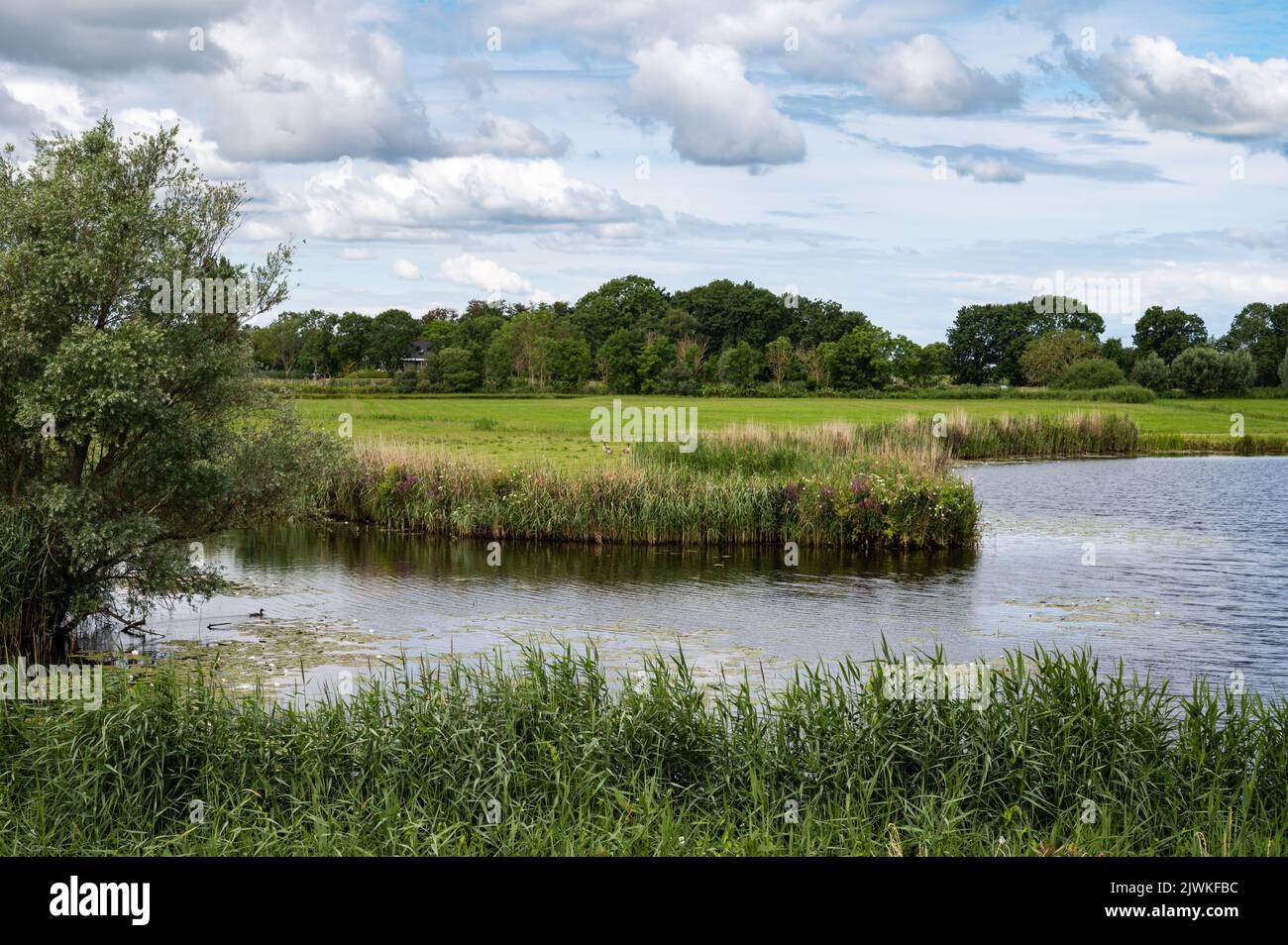 Wetlands, natural ponds and green surroundings at the fluid zone of the ...