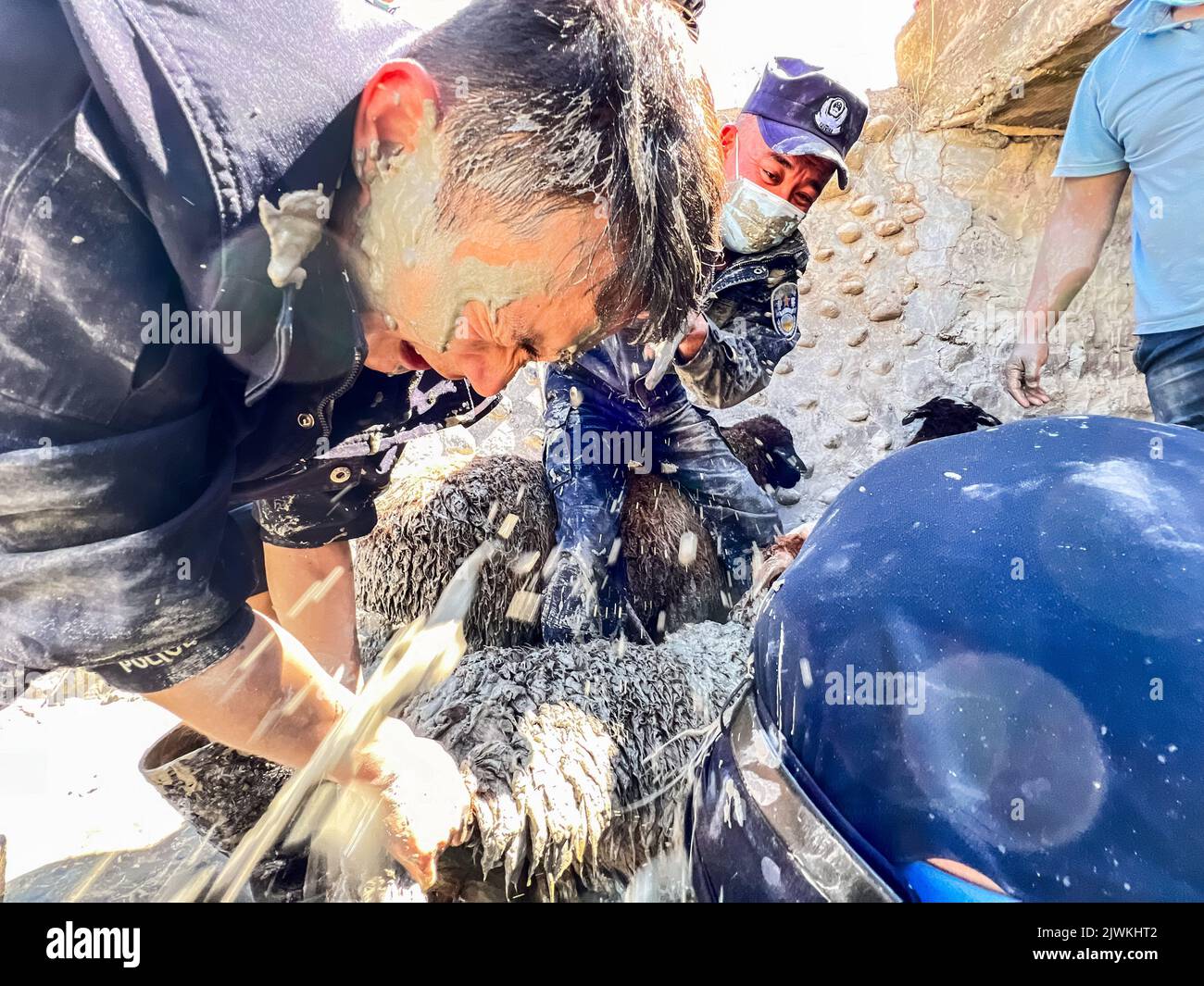 YILI, CHINA - SEPTEMBER 5, 2022 - Police work to rescue trapped sheep ...