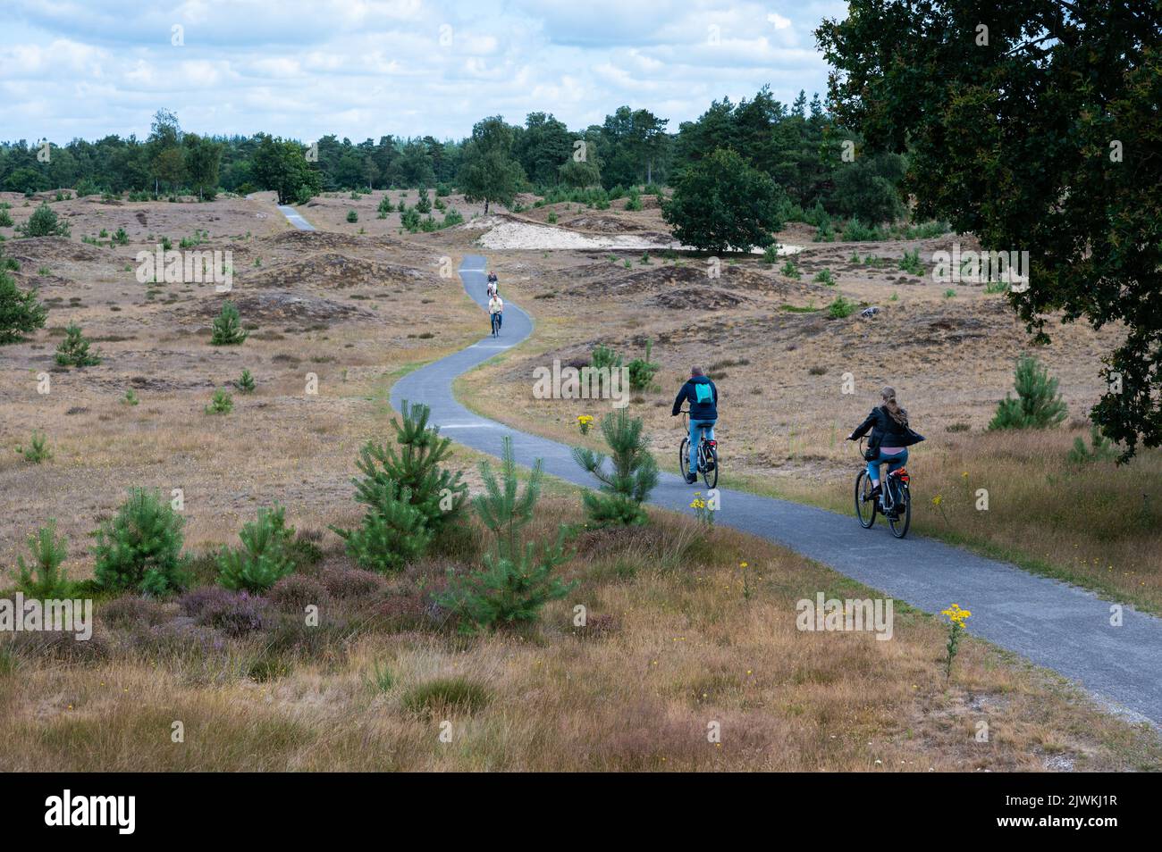Netherland forest hi-res stock photography and images - Alamy