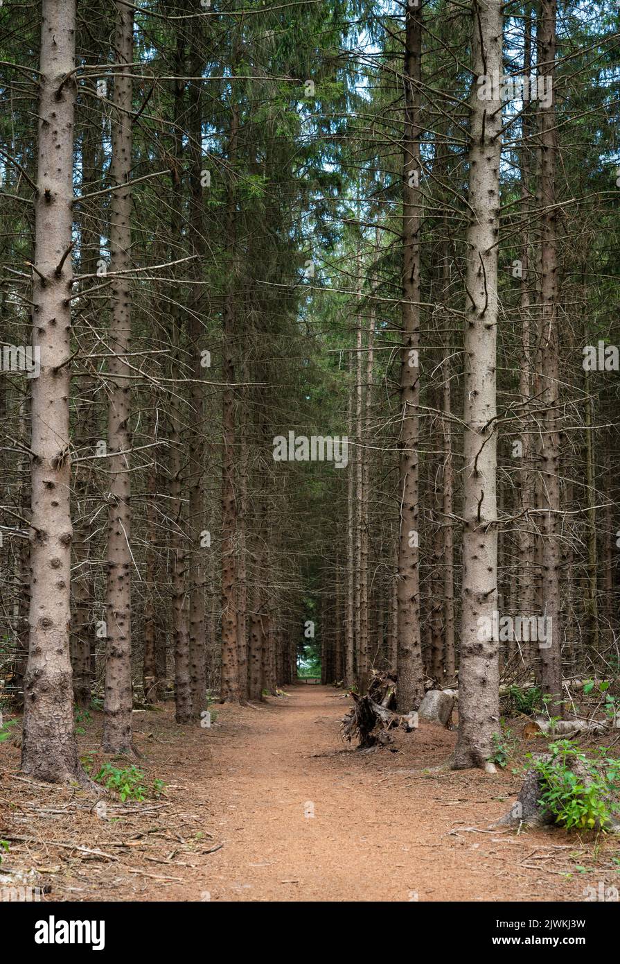 Veenhuizen view hi-res stock photography and images - Alamy