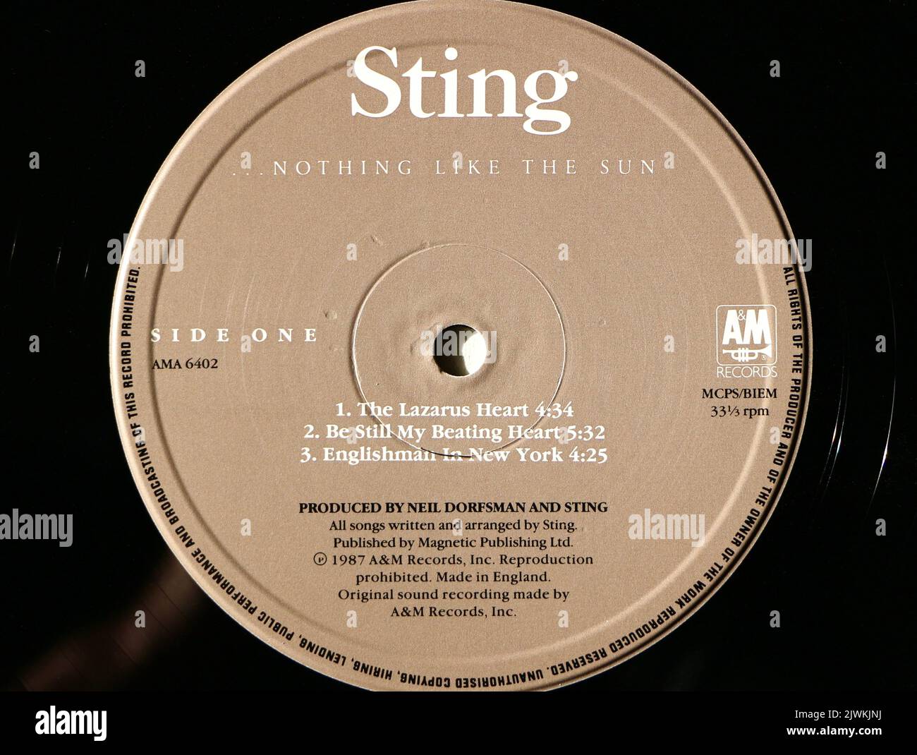 Sting Nothing Like The Sun