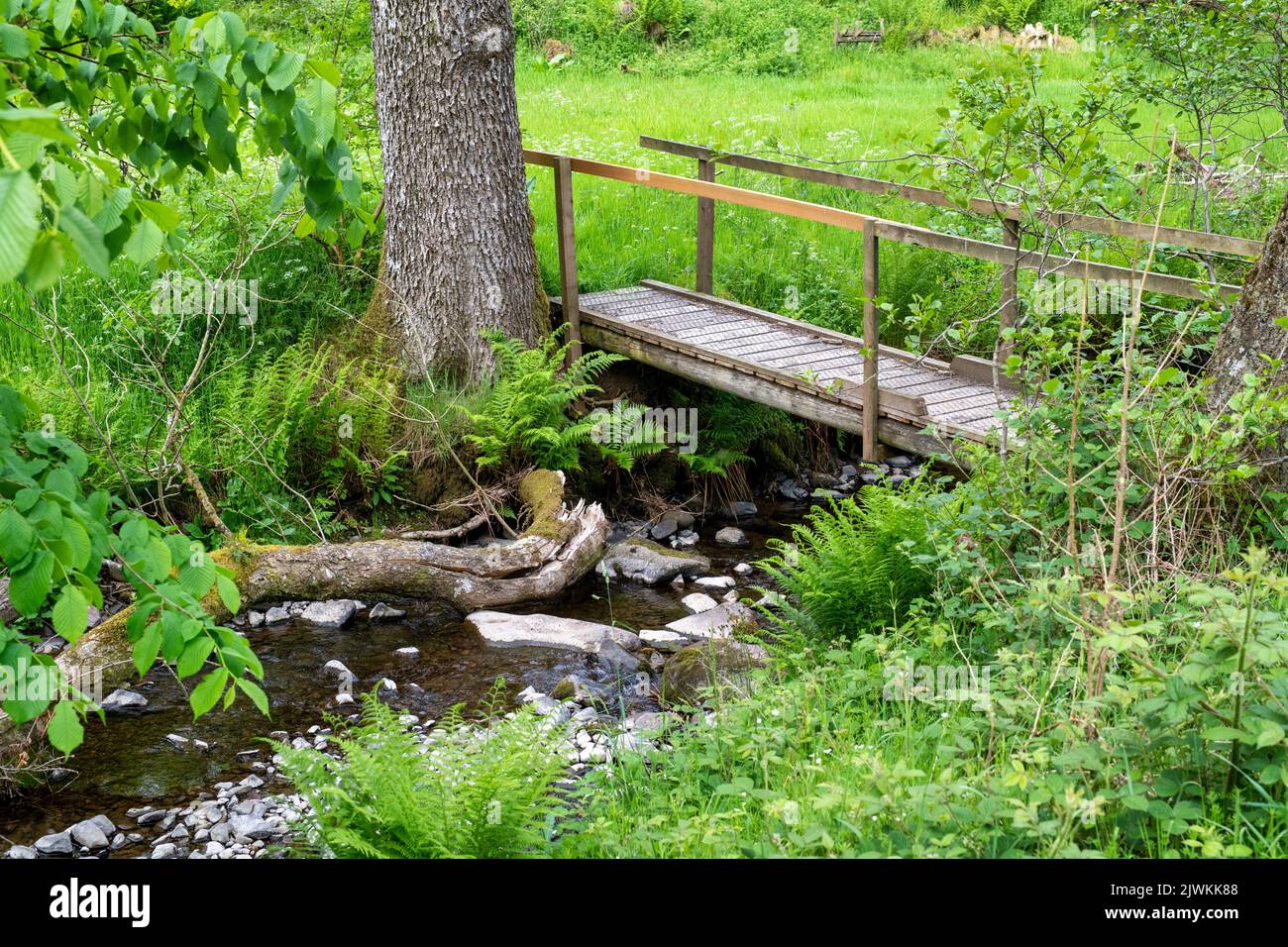Wooden footbridge across burnsands burn in the scottish countryside ...