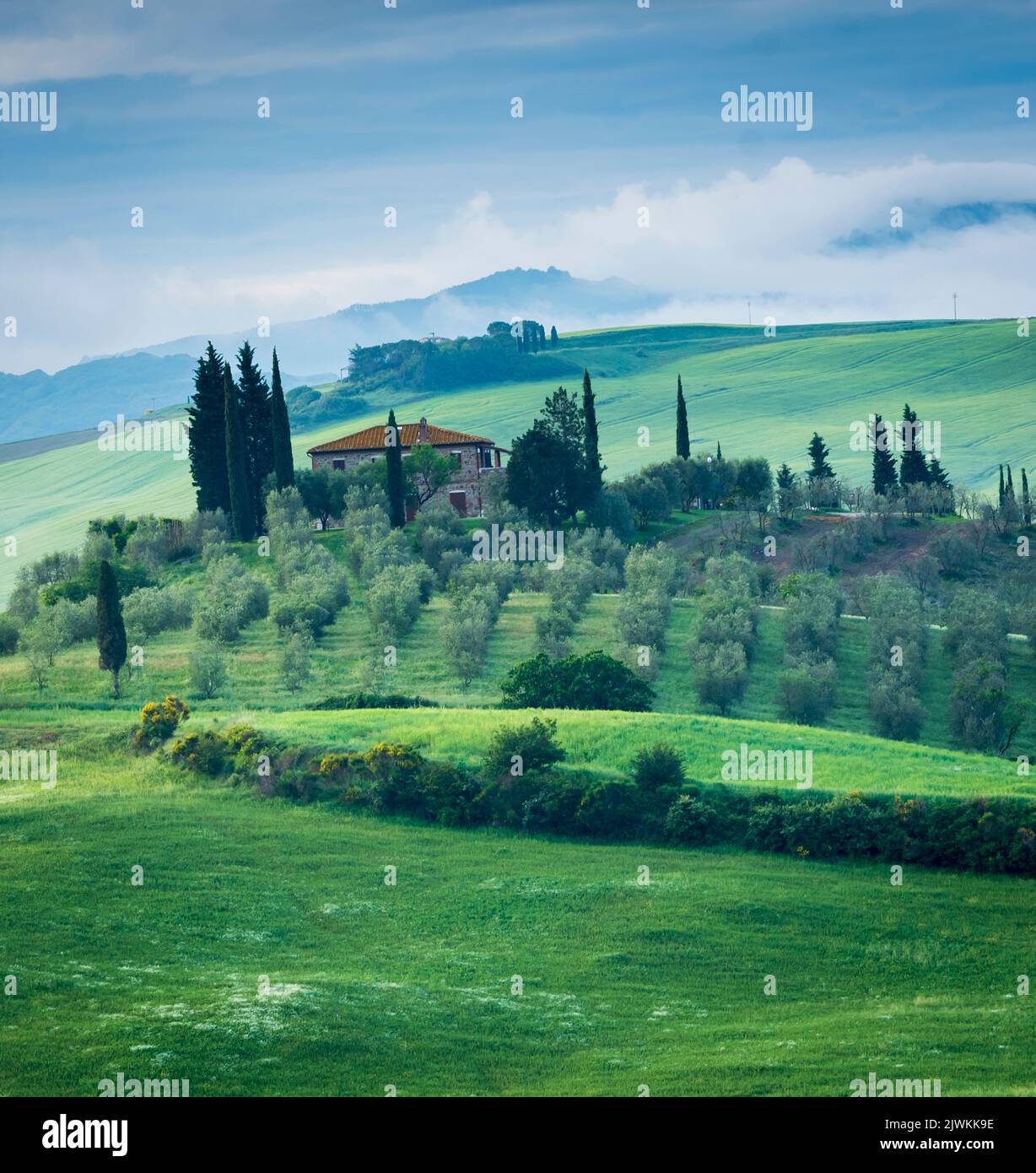 Romantic Tuscany in Val d'Orcia , Italy Stock Photo - Alamy