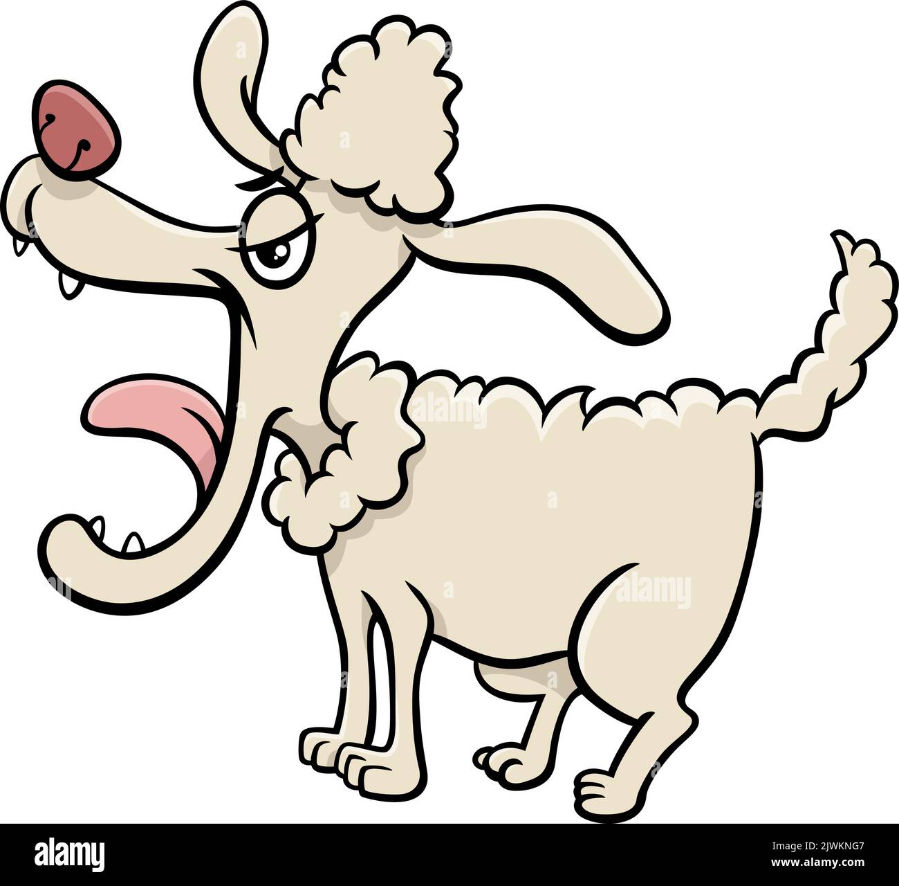 Cartoon illustration of angry poodle dog comic animal character Stock ...