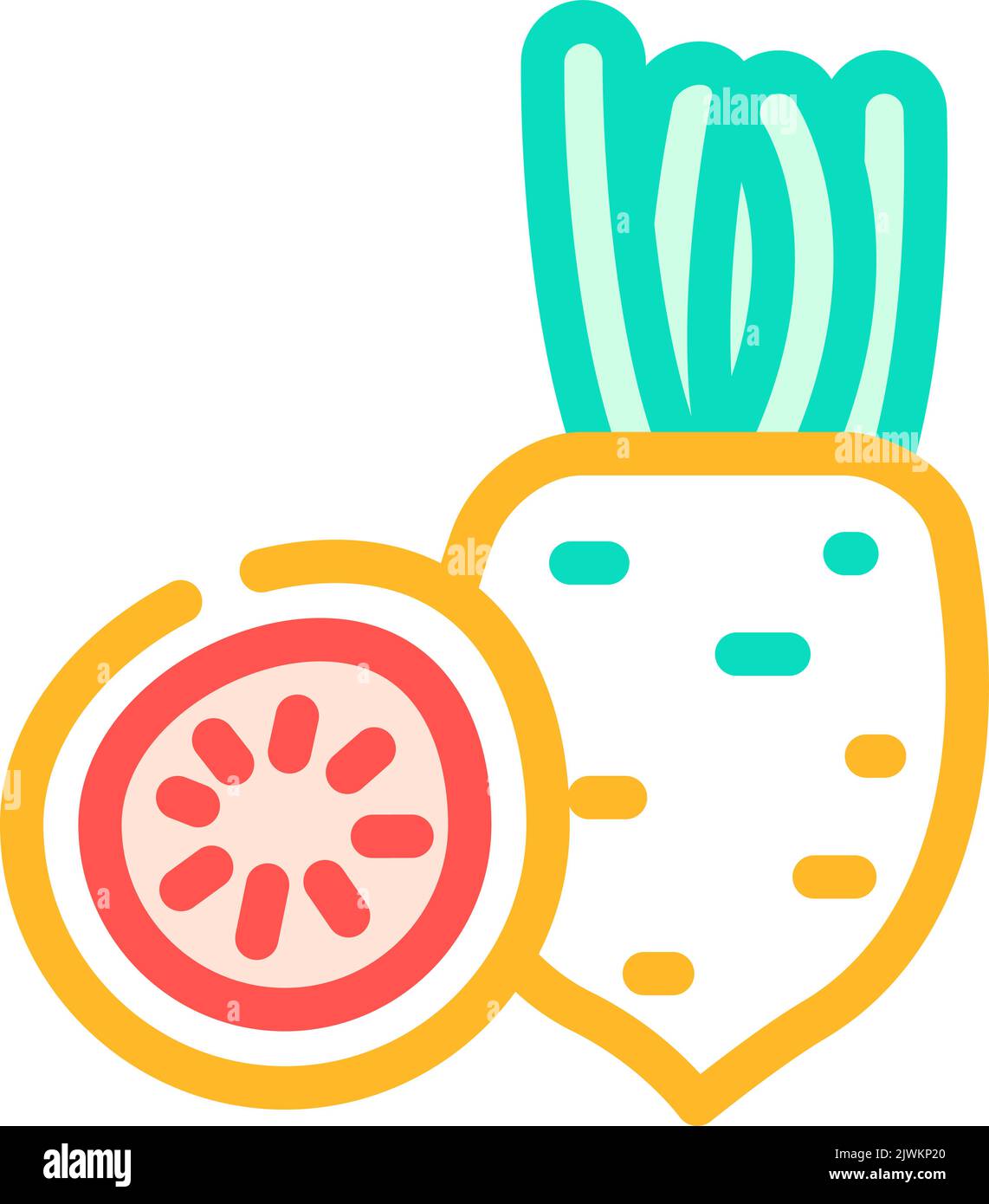 watermelon radish color icon vector illustration Stock Vector Image ...