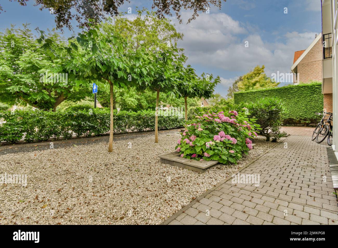 View of street near building with beauty of vegetation outside Stock ...