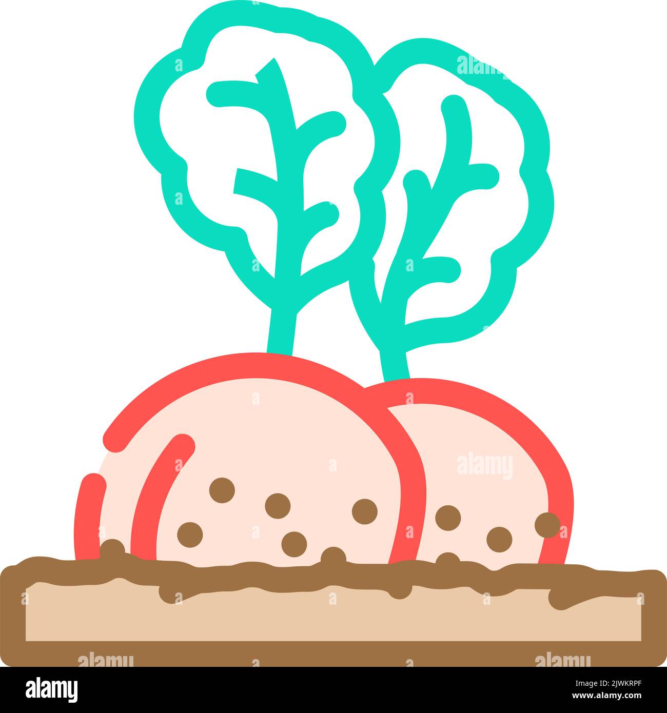 vegetable garden radishes color icon vector illustration Stock Vector ...