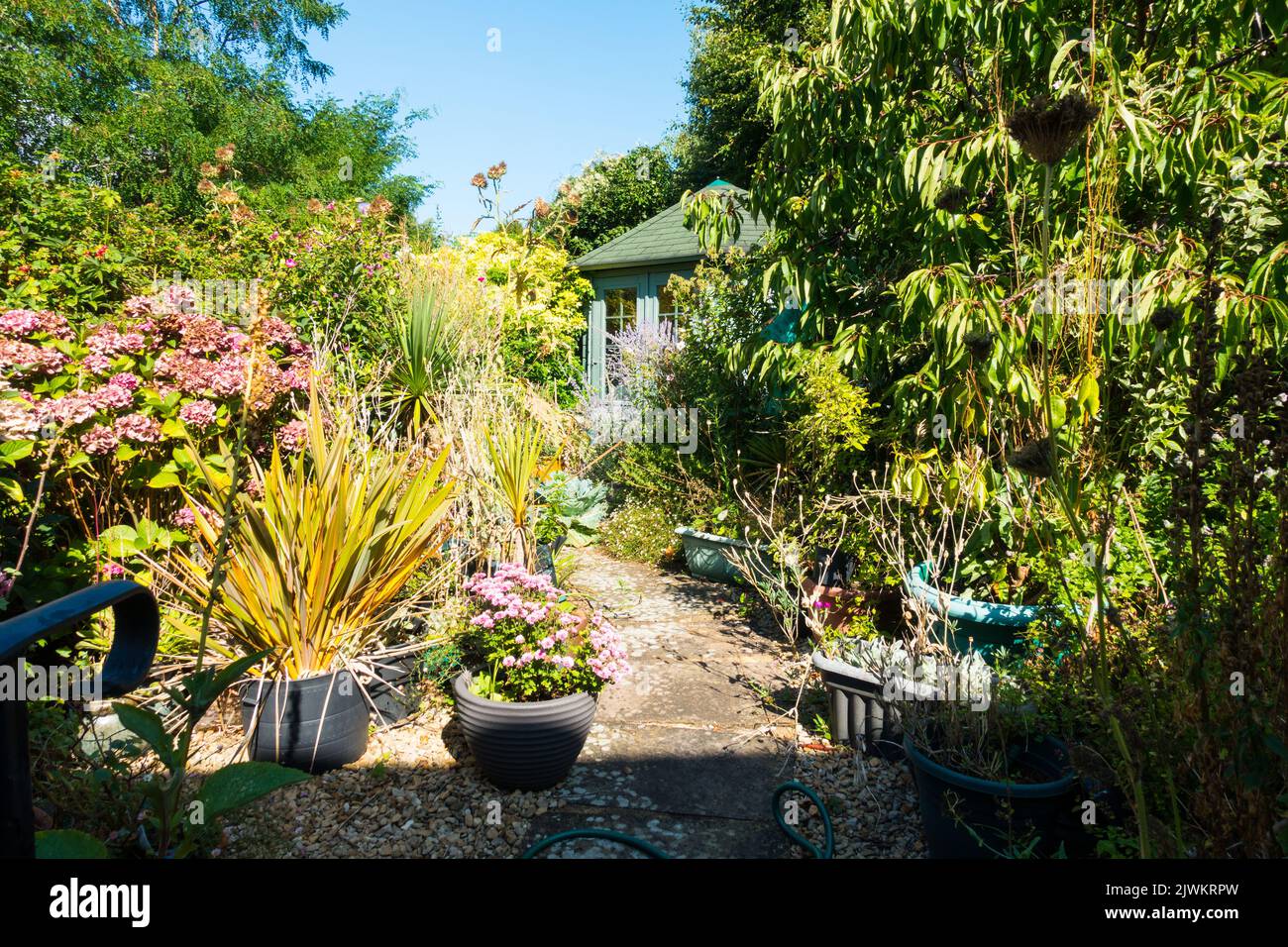 Parched garden hi-res stock photography and images - Alamy