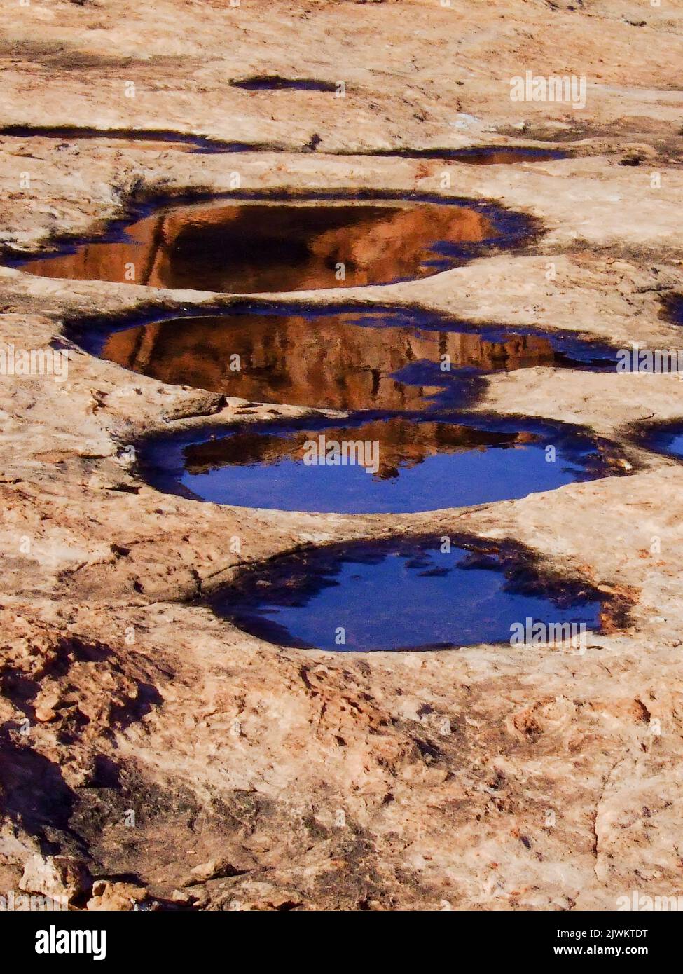 The Organ, a sandstone monolith in the Courthouse Towers, reflected in ...