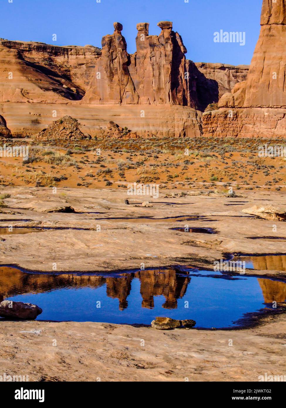 The Three Gossips reflected in an ephemeral rainwater pool in the ...