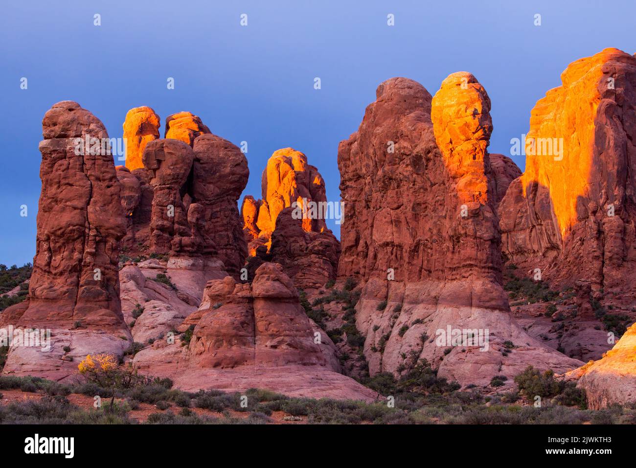 Spotlighting on Entrada sandstone formations in the Devil's Garden in ...