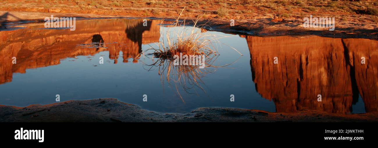 The Three Gossips reflected in an ephemeral rainwater pool in the ...