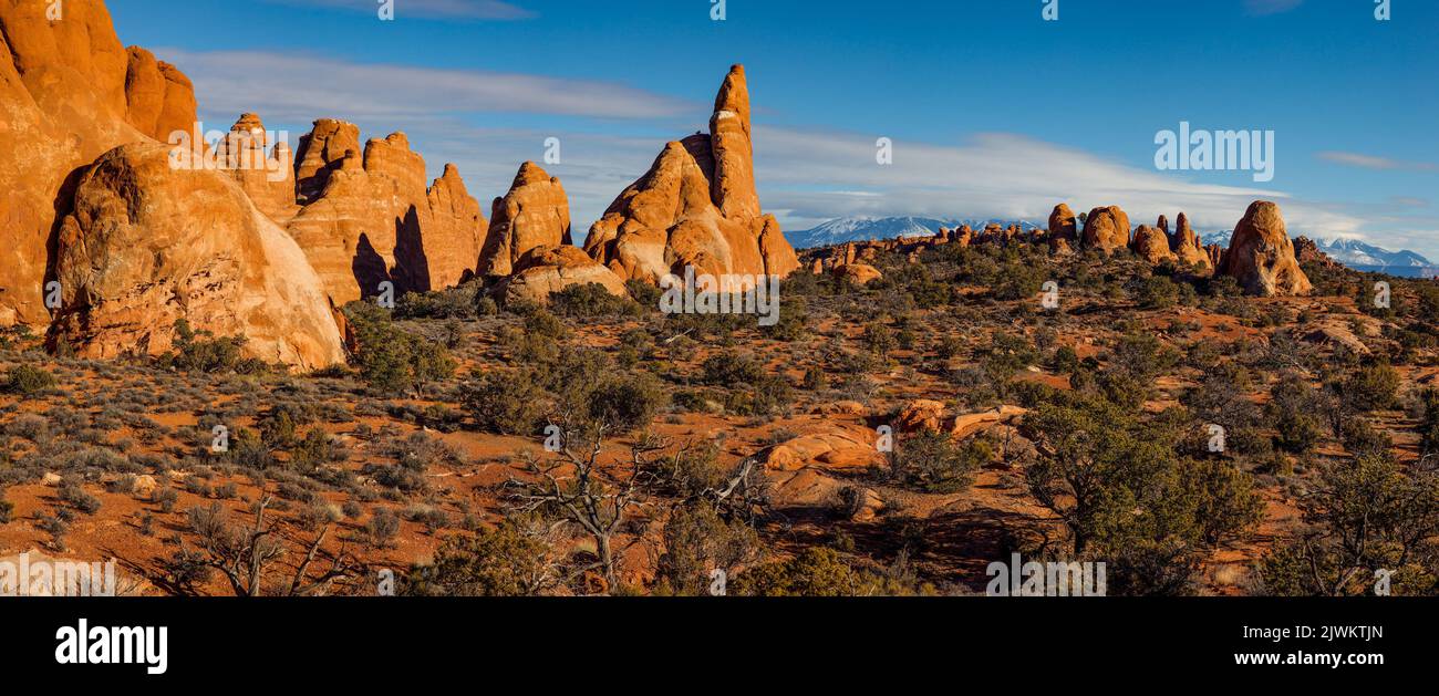 Entrada sandstone fins in the Devil's Garden section of Arches National ...
