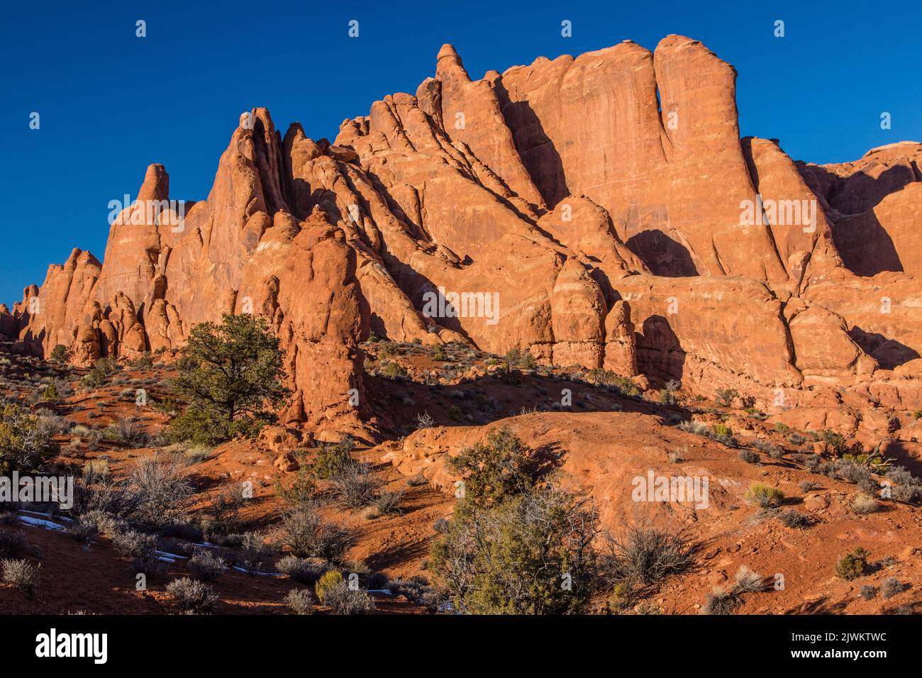 Entrada sandstone fins in the Devil's Garden section of Arches National ...