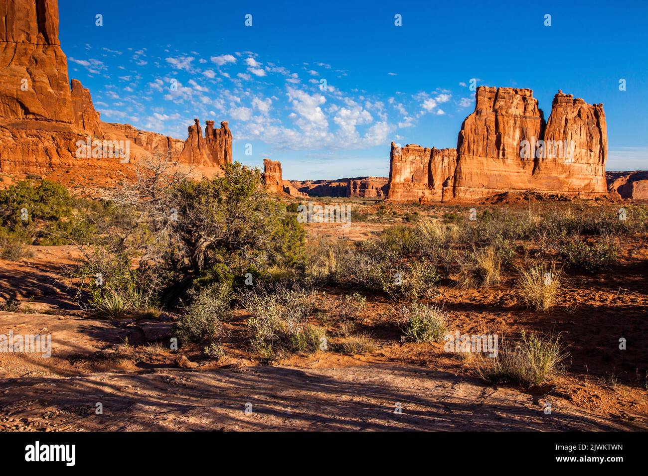 The Courthouse Towers, the Gossips, Sheep Rock, the Organ & Tower of ...