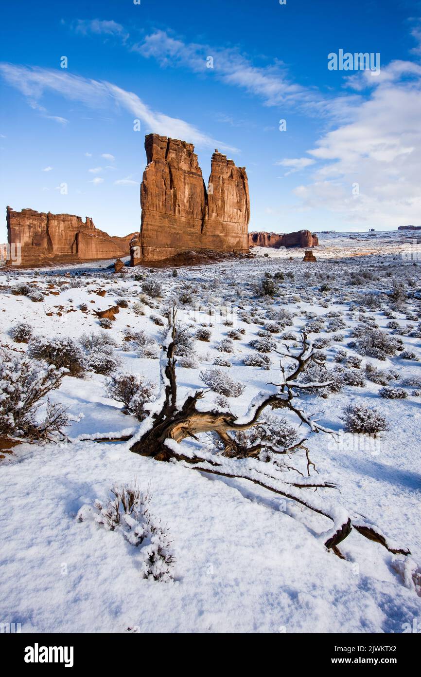 The Organ, a sandstone monolith in the Courthouse Towers, with snow in ...