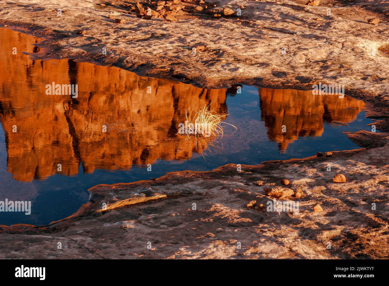The Organ, a sandstone monolith in the Courthouse Towers, reflected in ...