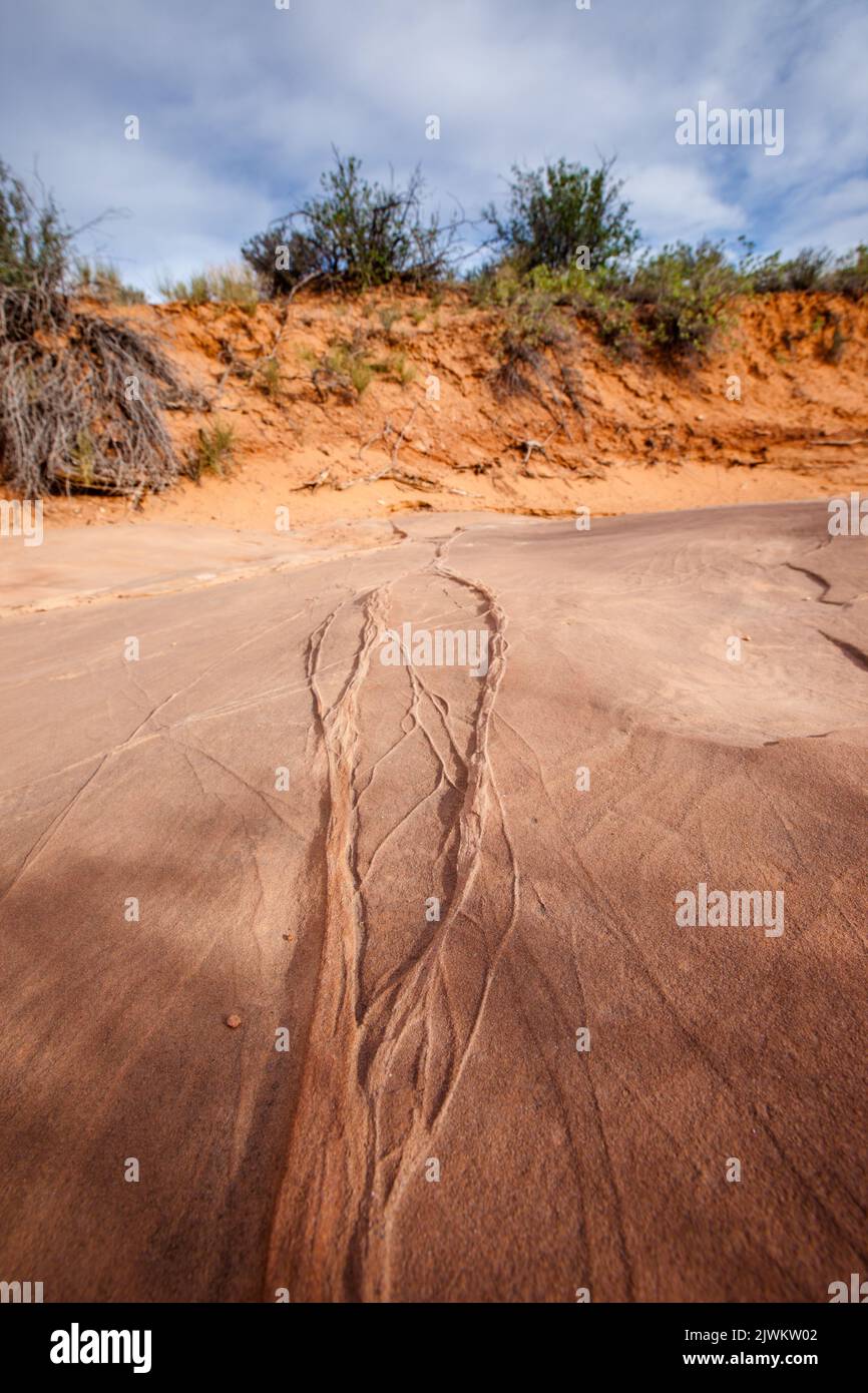 Raised ridges in eroded sandstone in Arches National Park, Moab, Utah ...