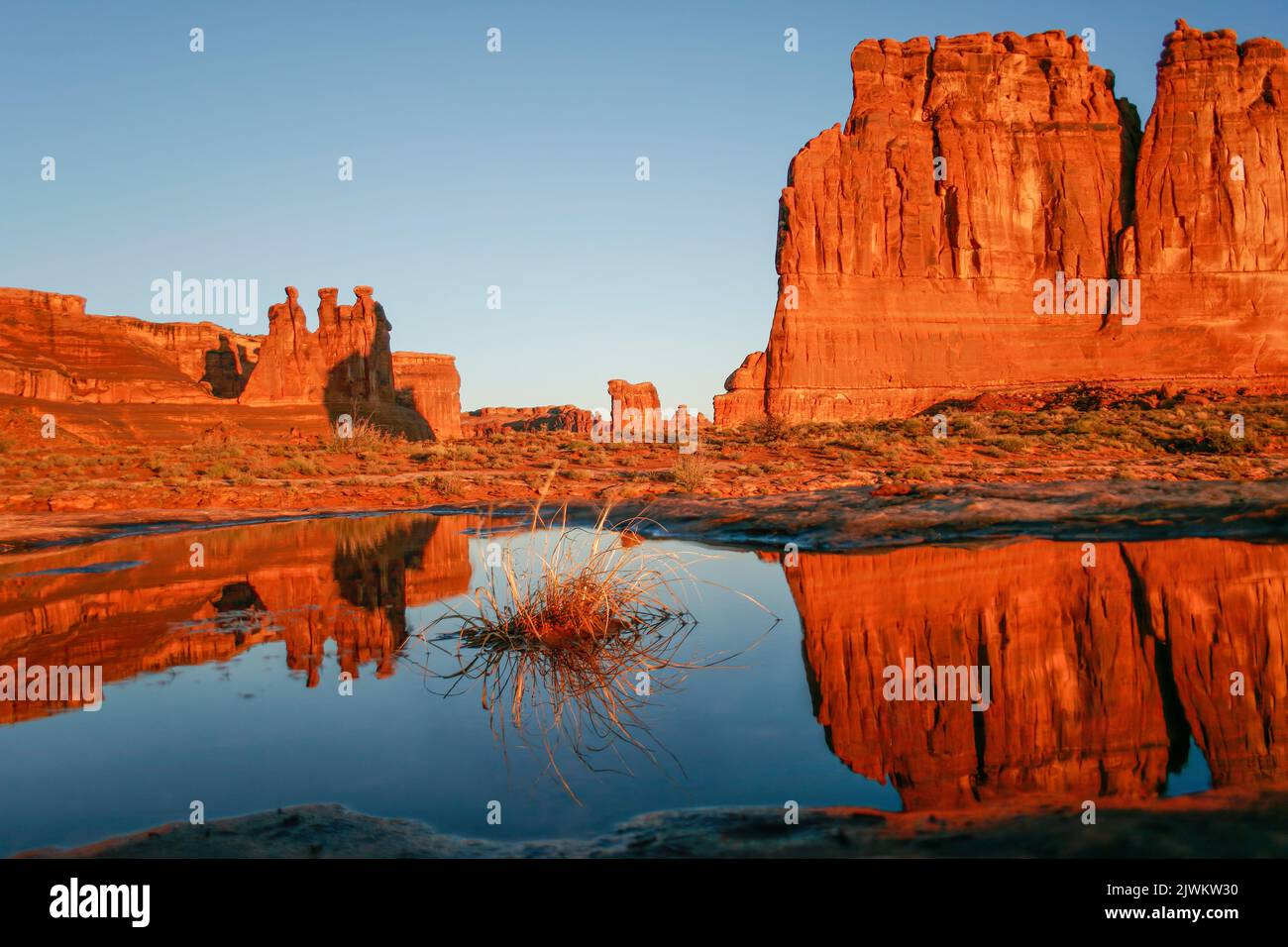 The Three Gossips and the Organ reflected in an ephemeral rainwater ...