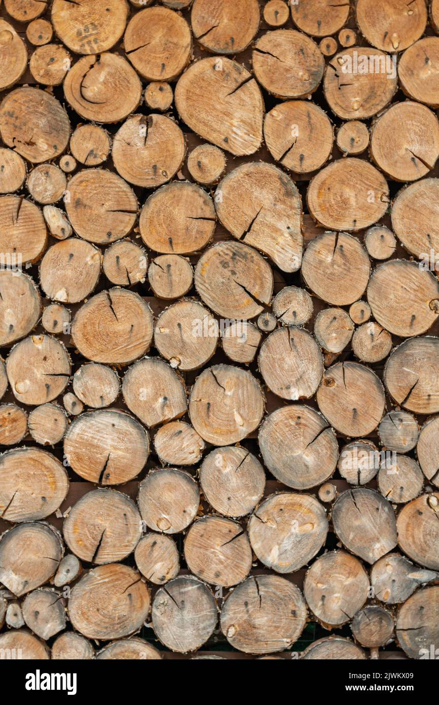 stacked loggs of fire wood texture background. slices from logs are ...