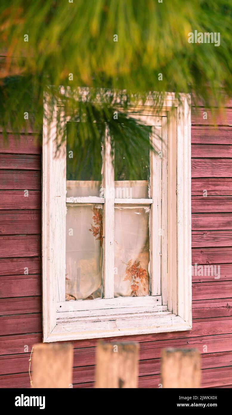 Window, painted roughly, offhandedly white of old wooden village house ...