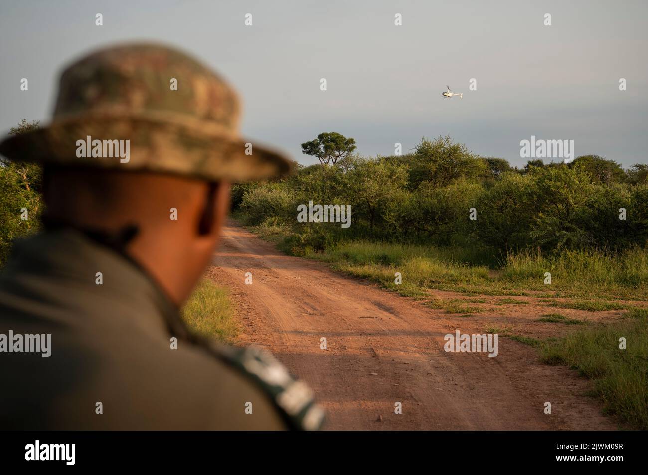 Rhino Collaring Operation in Marataba Conservation Camp, Marakele ...