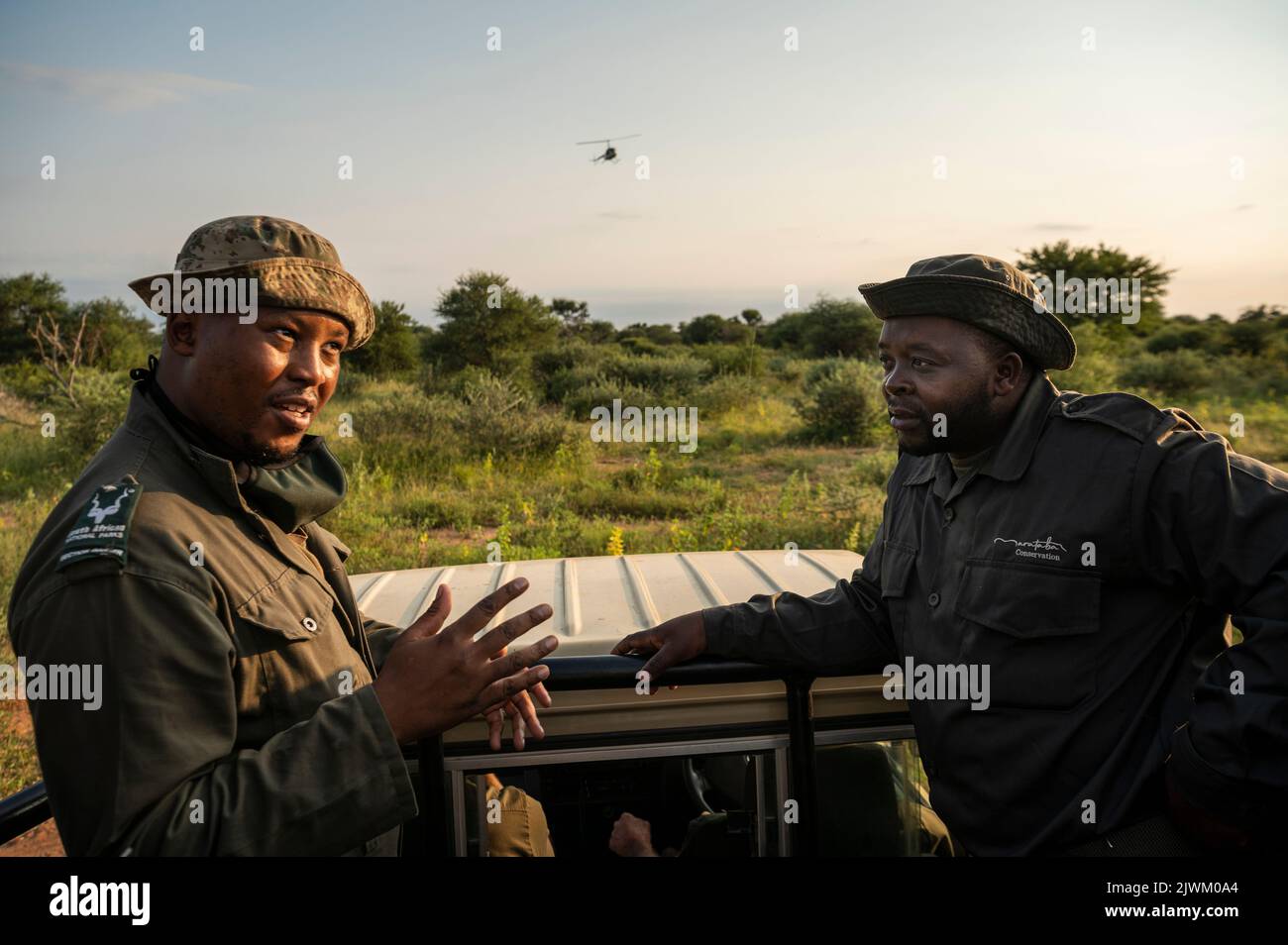 Rhino Collaring Operation in Marataba Conservation Camp, Marakele ...