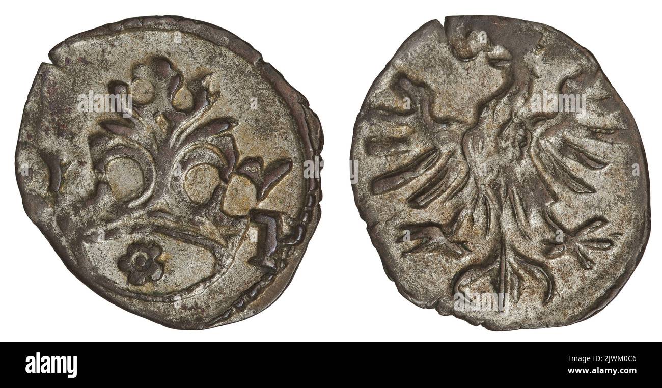 denarius. Zygmunt I Stary (król polski ; 1506-1548), ruler Stock Photo ...