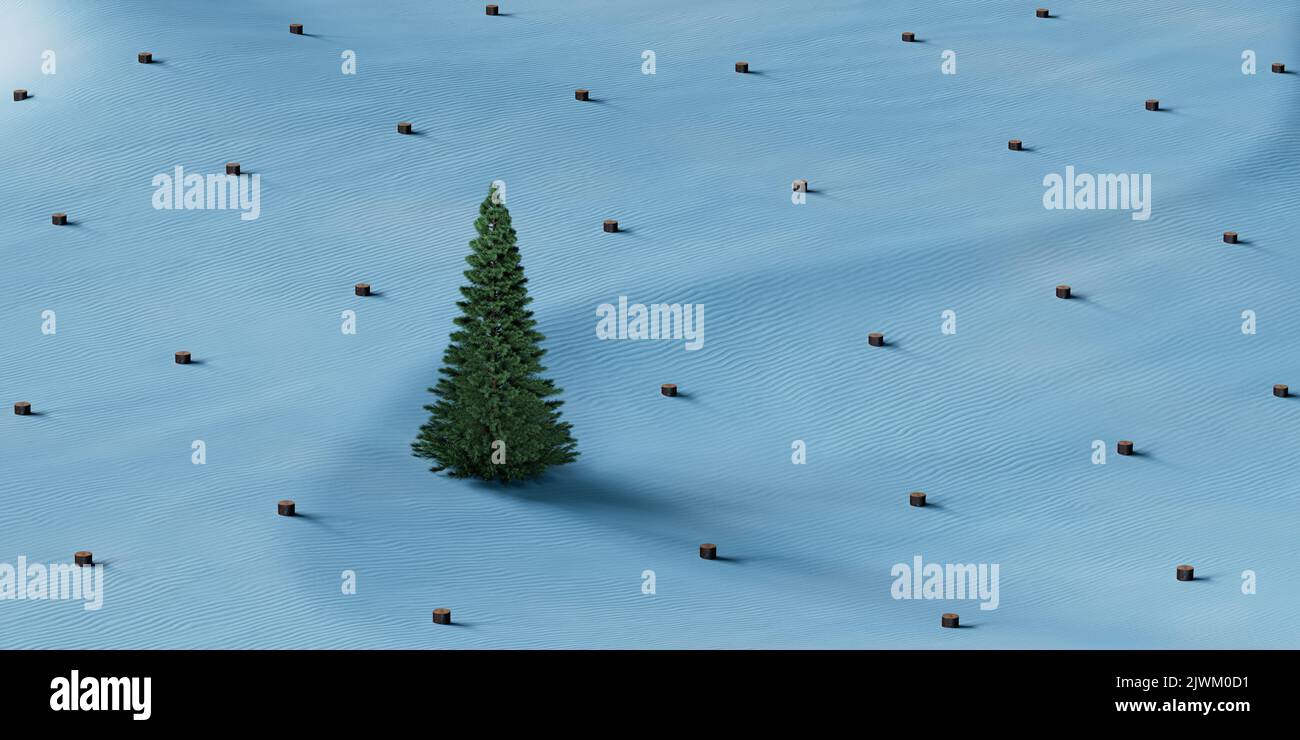 Christmas tree among felled forest. One Christmas tree and many stumps ...