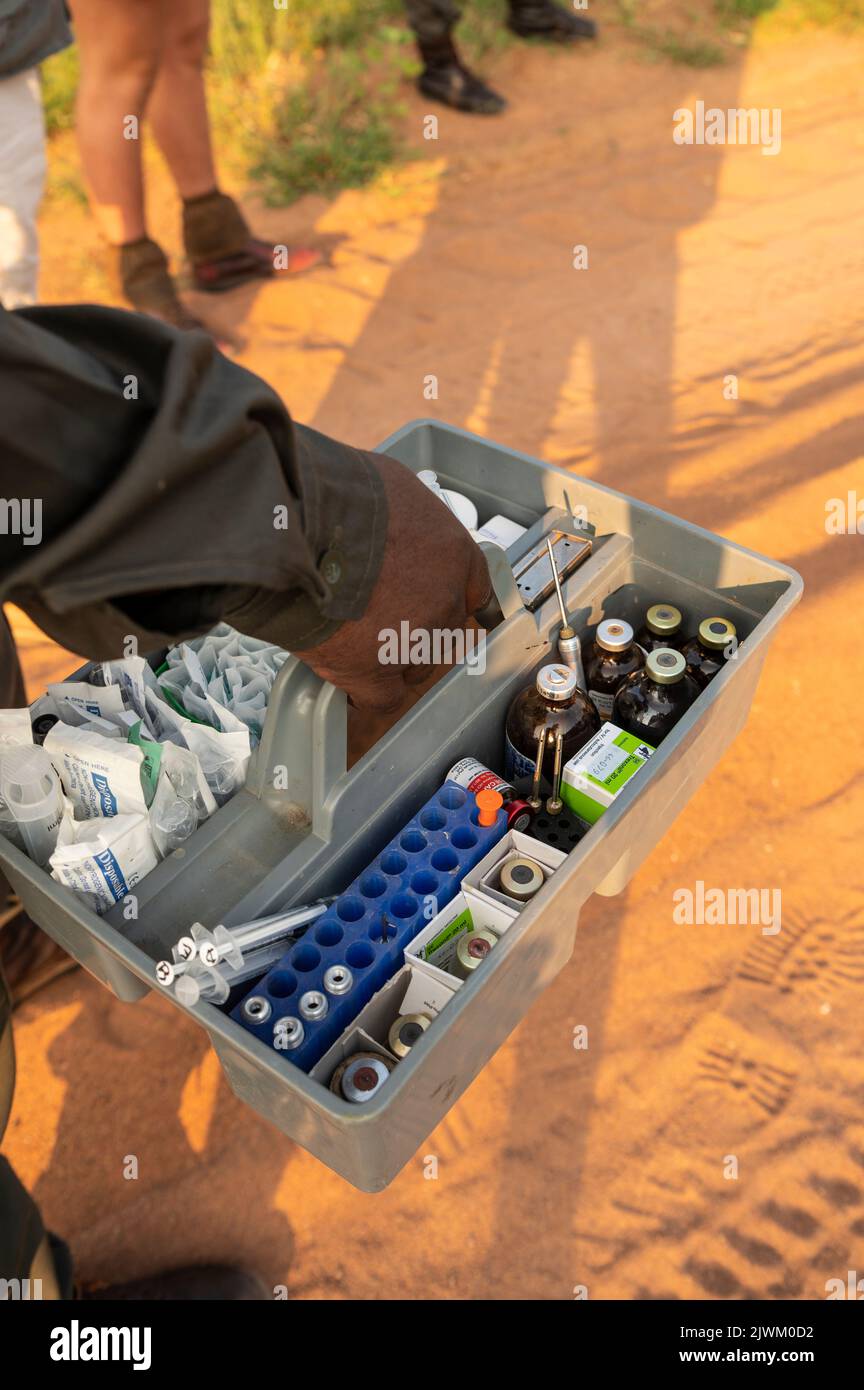 Rhino Collaring Operation in Marataba Conservation Camp, Marakele ...