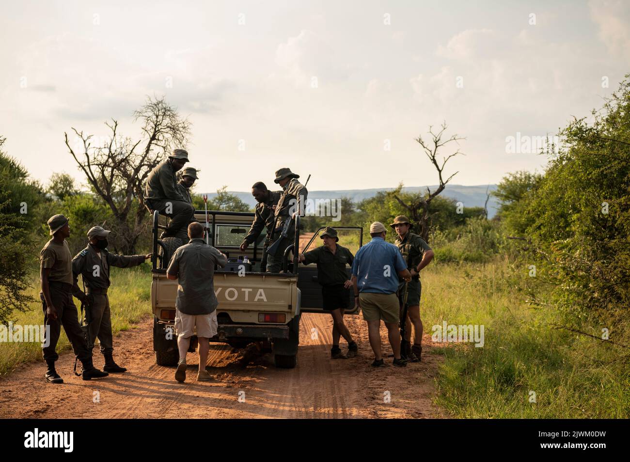Rhino Collaring Operation in Marataba Conservation Camp, Marakele ...