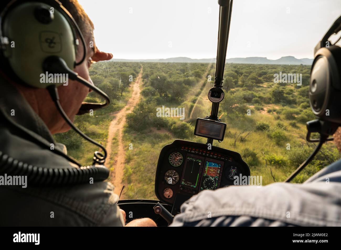 Rhino Collaring Operation in Marataba Conservation Camp, Marakele ...
