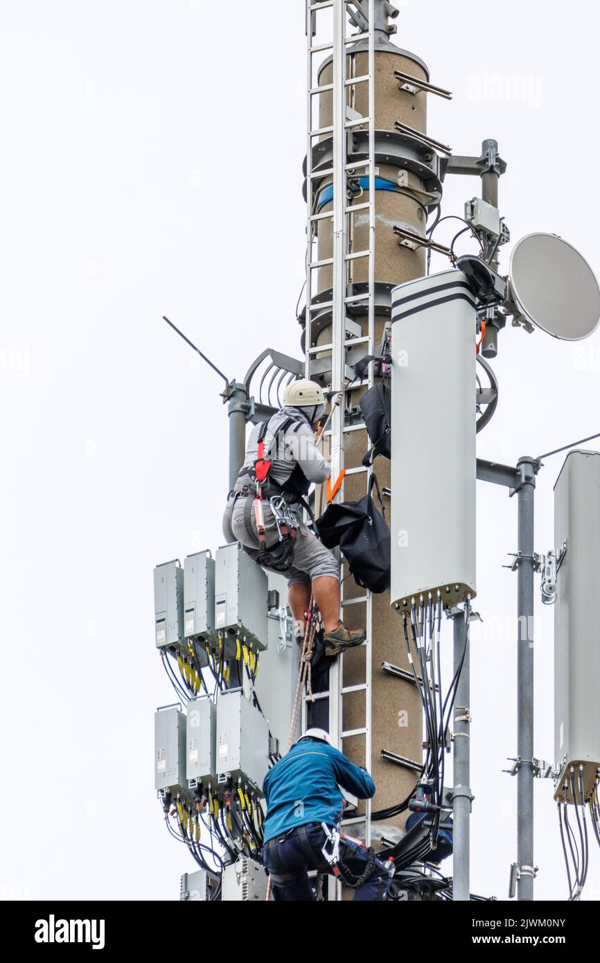two Telekom technicians perform work on a transmission tower Stock ...