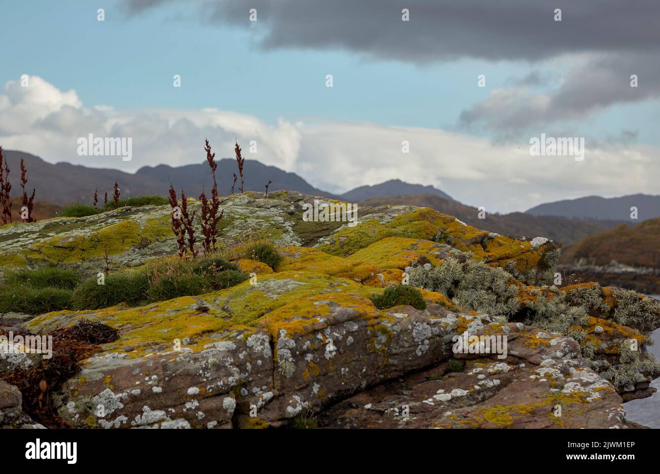Dry island hi-res stock photography and images - Alamy