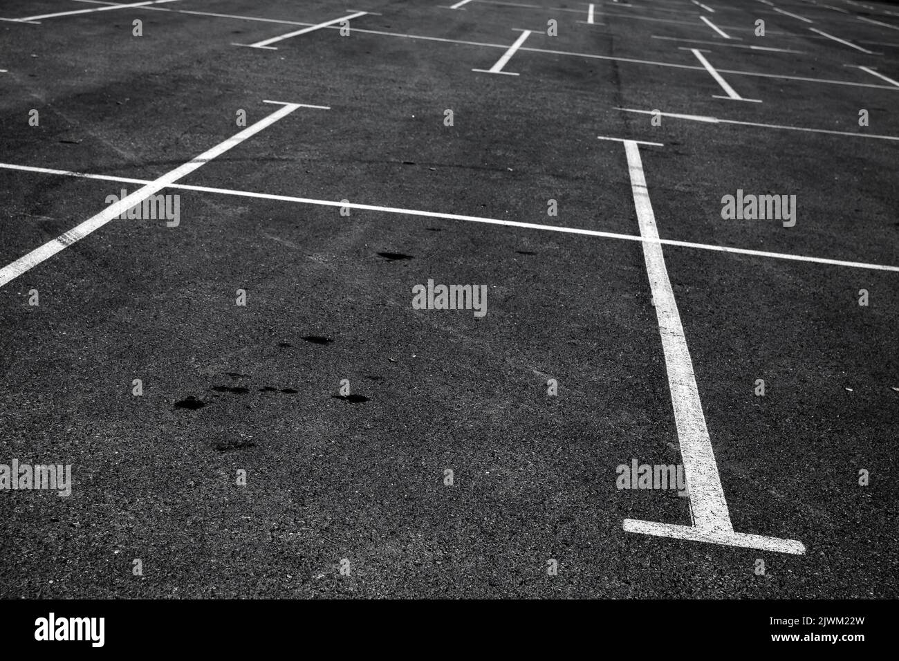 Empty slots of a parking lot, white road marking lines over gray ...