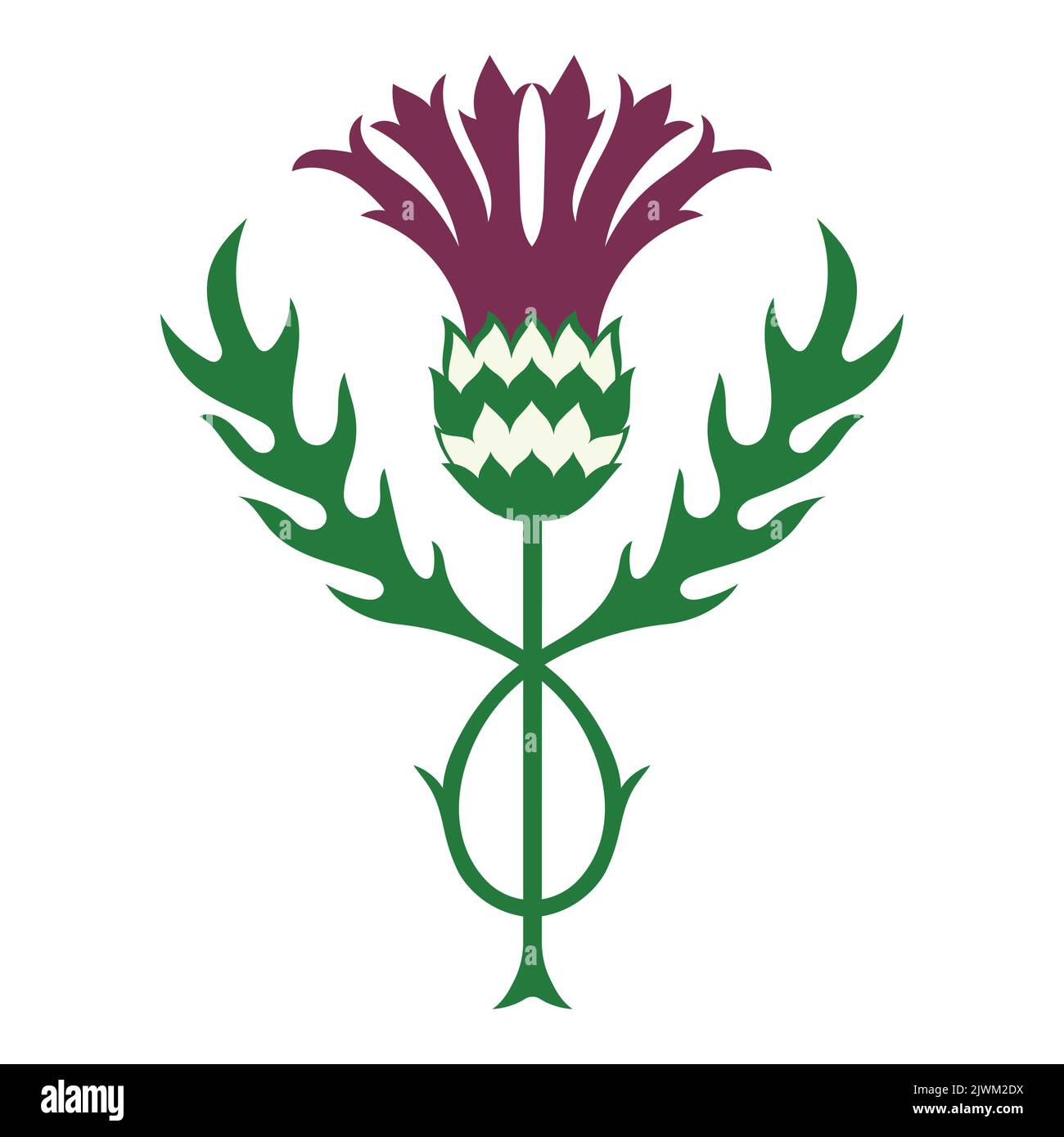 Scottish highland flower illustration hi-res stock photography and ...