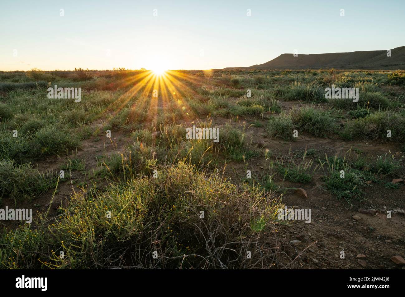 Sunset over Karoo National Park, Beaufort West, Western Cape, South ...