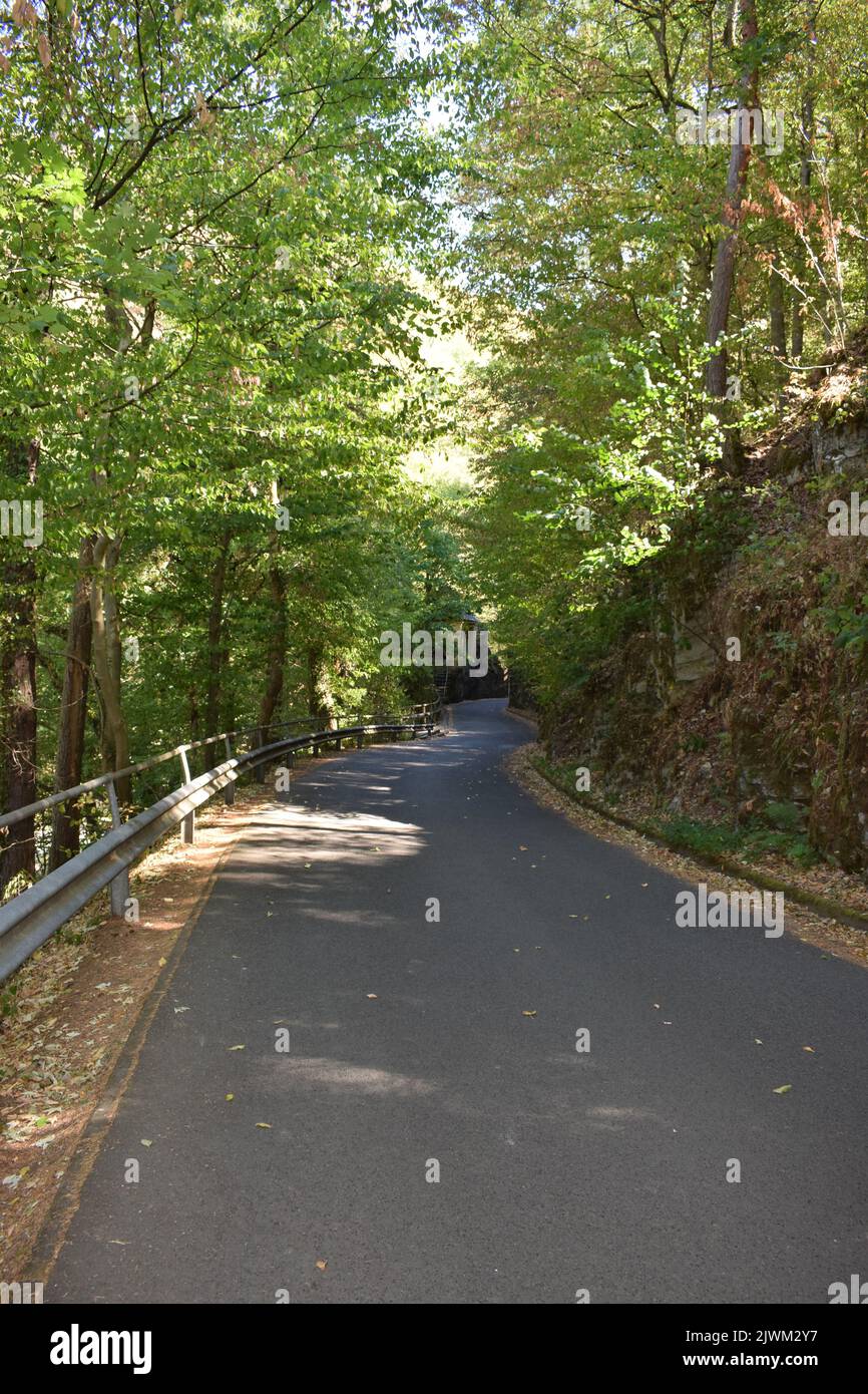 small country road in Mosel valley to the Hunsrück hills Stock Photo ...