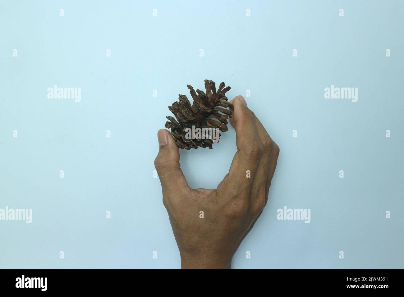 Cone in the hand isolated on white background Stock Photo - Alamy