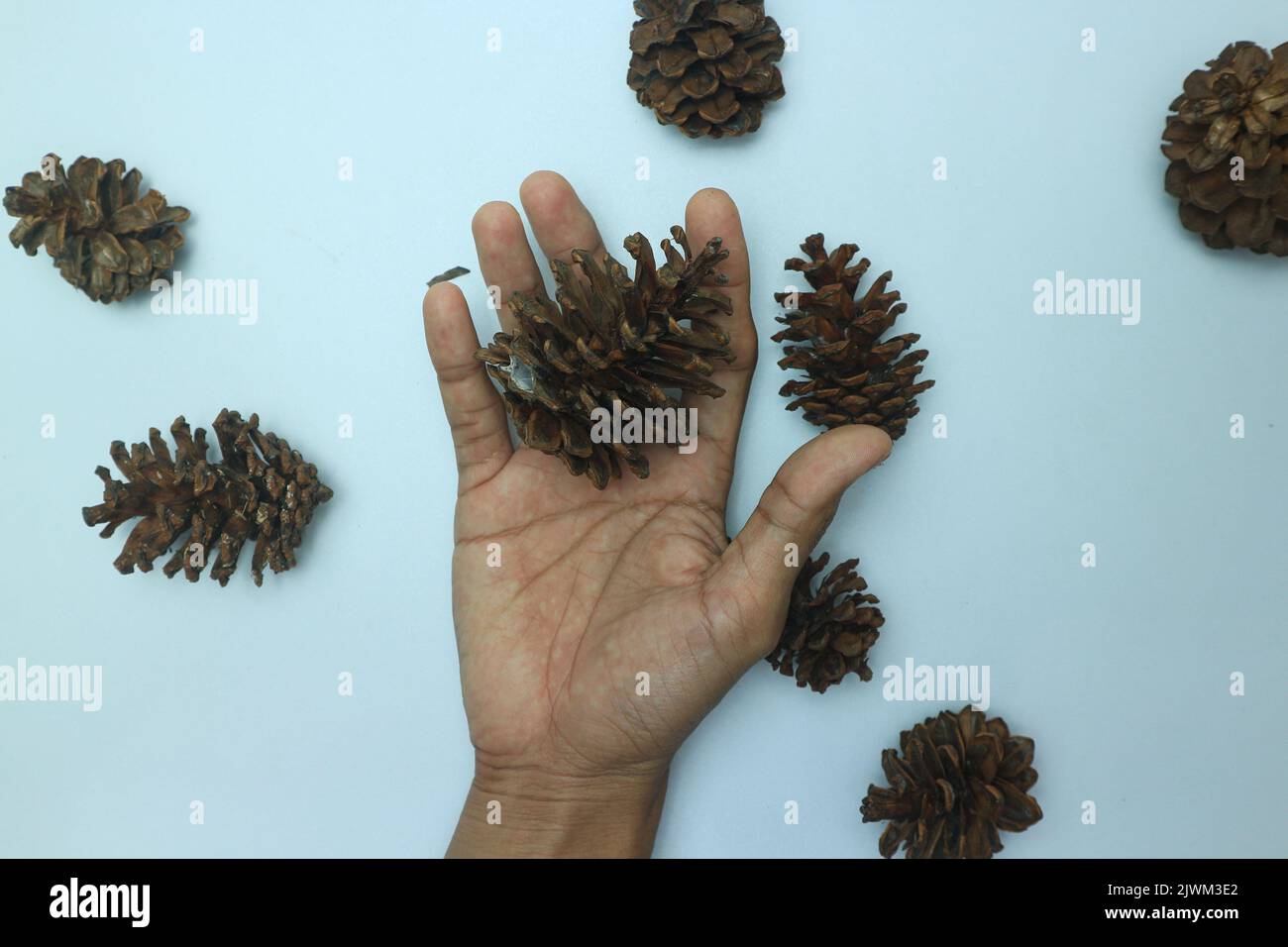 Cone in the hand isolated on white background Stock Photo - Alamy