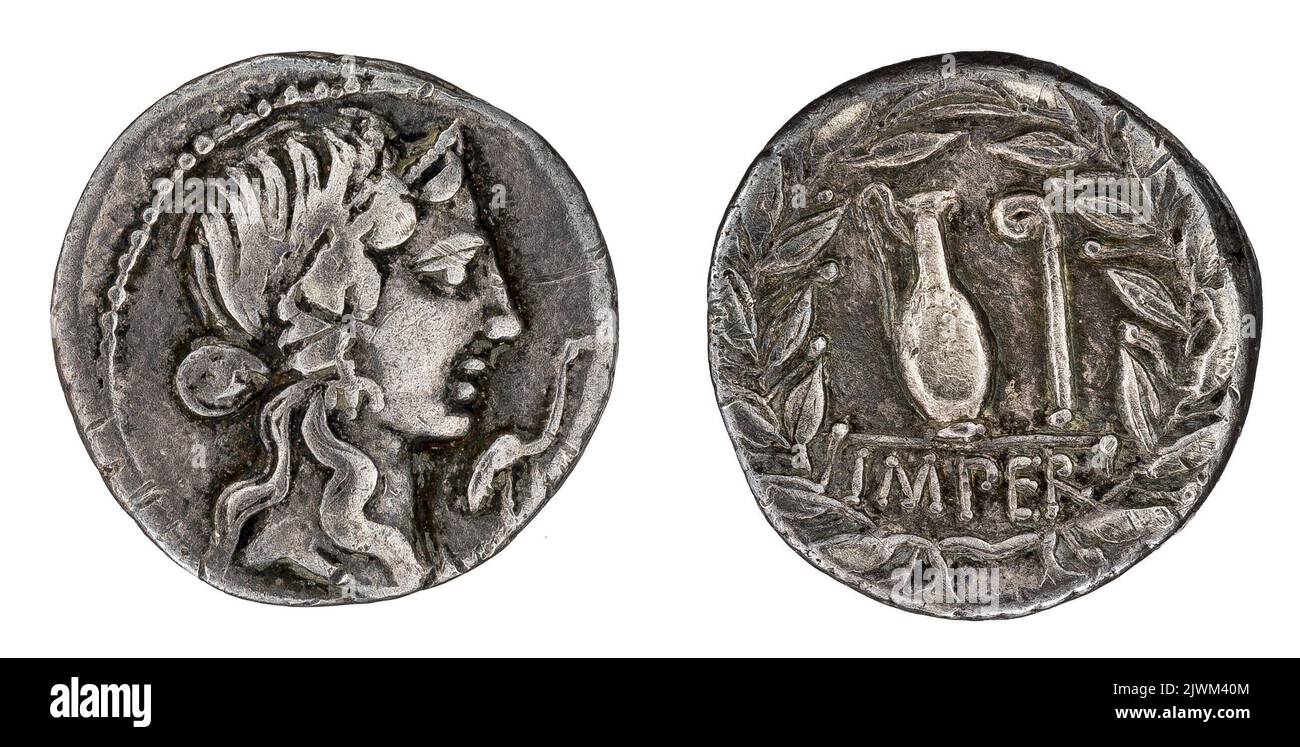 Caecilius Cut Out Stock Images & Pictures - Alamy