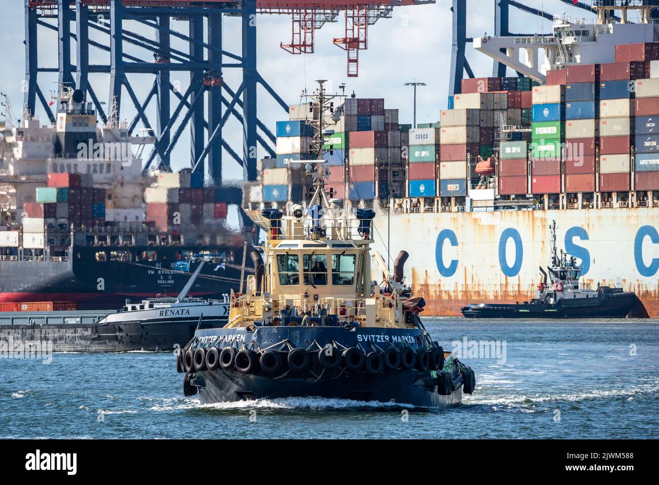 Europoort, port of Rotterdam, harbour tug, bowser, in front of Euromax ...