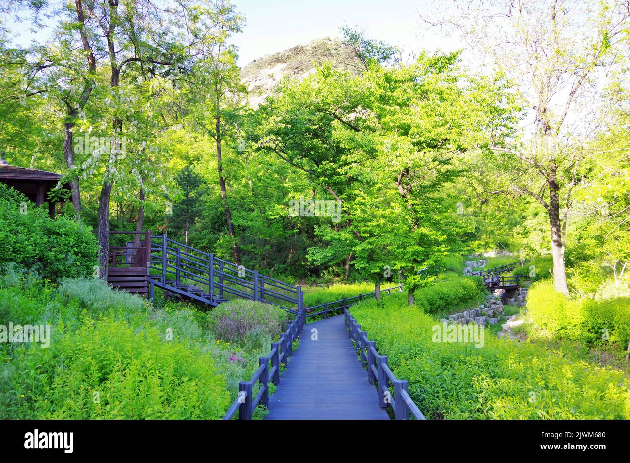walking trails in seoul Stock Photo - Alamy