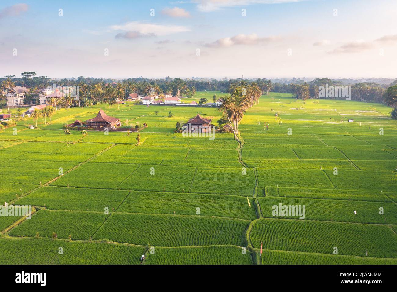 Rice fields at sunset from above, Bali, Indonesia Stock Photo - Alamy