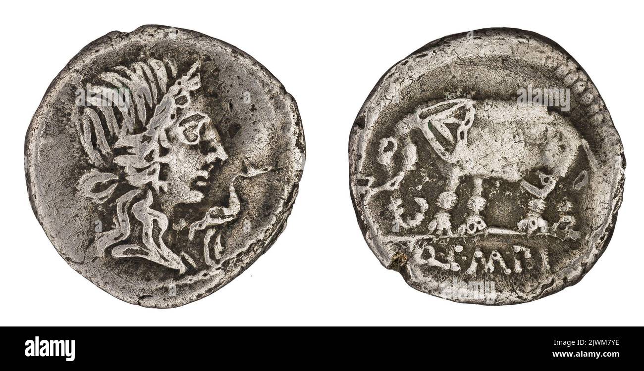 Caecilius Cut Out Stock Images & Pictures - Alamy