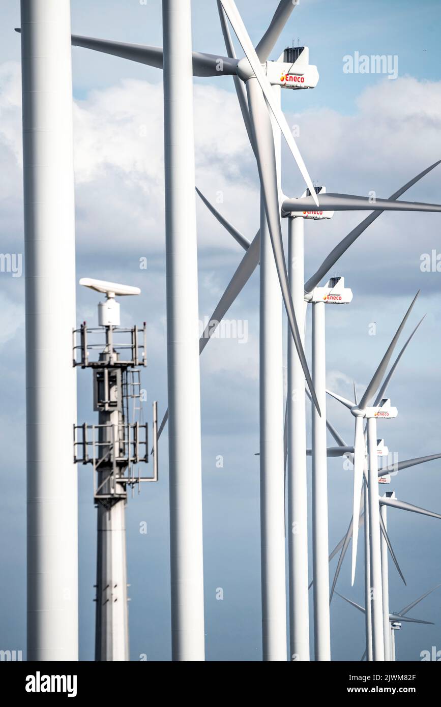 Wind farm on the Nordzeeweg, on a long spit of land between the Maas ...
