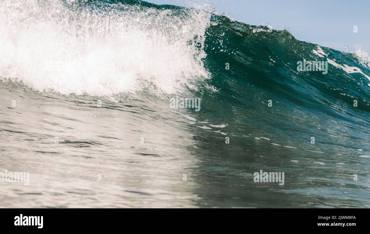 Underwater life in the uk hi-res stock photography and images - Alamy