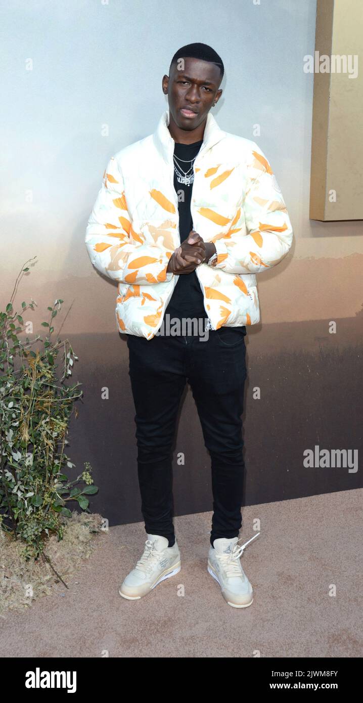 Hardy caprio hi-res stock photography and images - Alamy